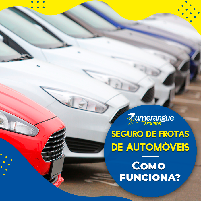 Seguro de Frota de Automóveis: Como Funciona? - Bumerangue Seguros